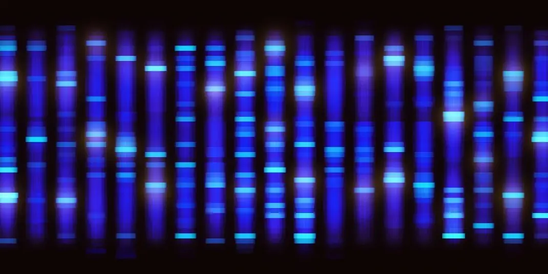 Troubleshooting Dna Templates With Sanger Sequencing